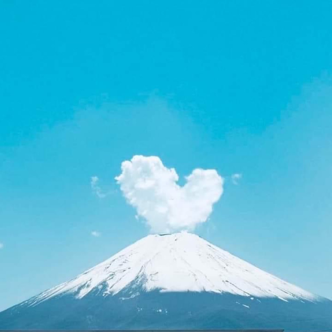 LiLi _ LaLa, 線上商店 | 蝦皮購物