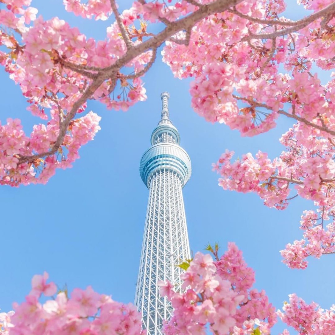 Yukumi, 線上商店 | 蝦皮購物