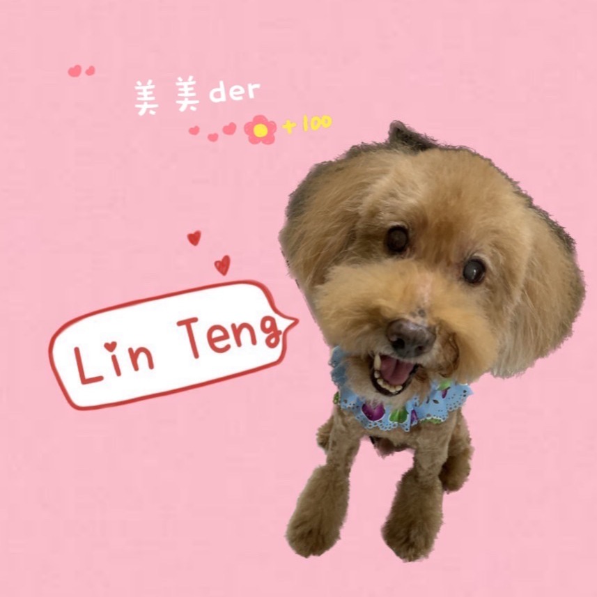 Lin Teng Go購, 線上商店 | 蝦皮購物