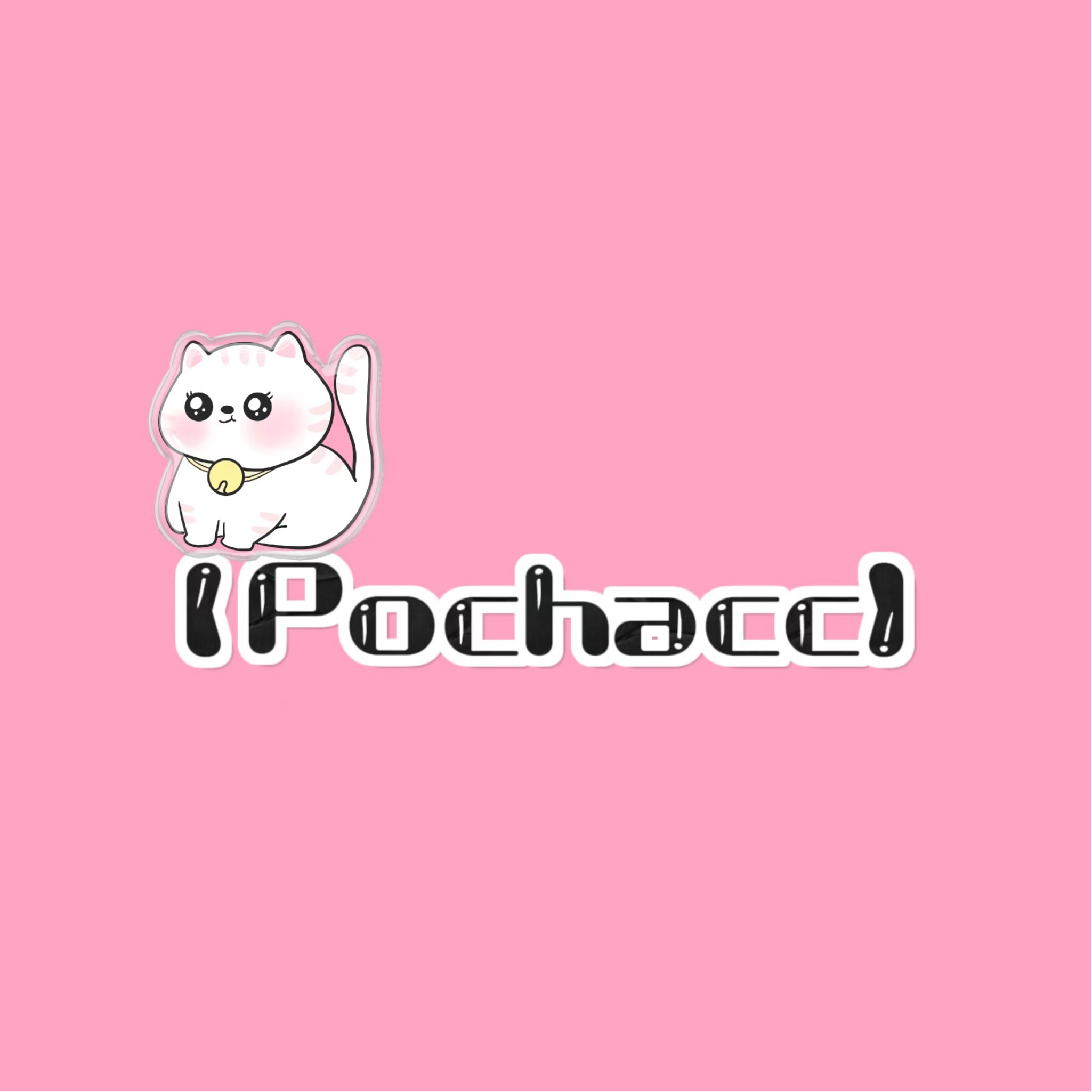 【Pochacc】優品小店, 線上商店 | 蝦皮購物