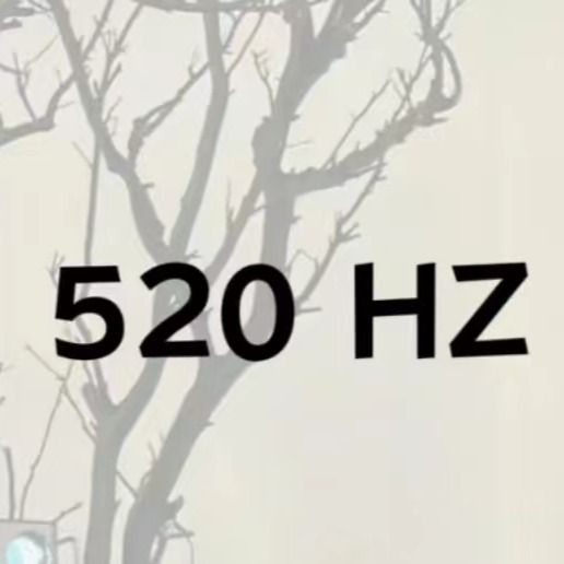 520 HZ, 線上商店 | 蝦皮購物