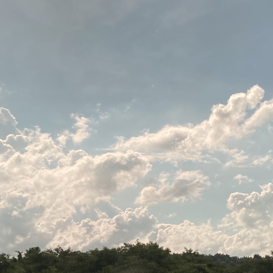 pupu_pig, 線上商店 | 蝦皮購物