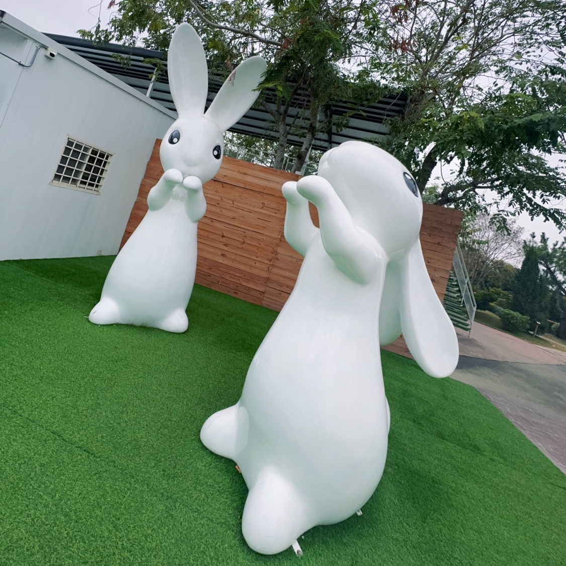 rabbit & pig/ pupu, 線上商店 | 蝦皮購物