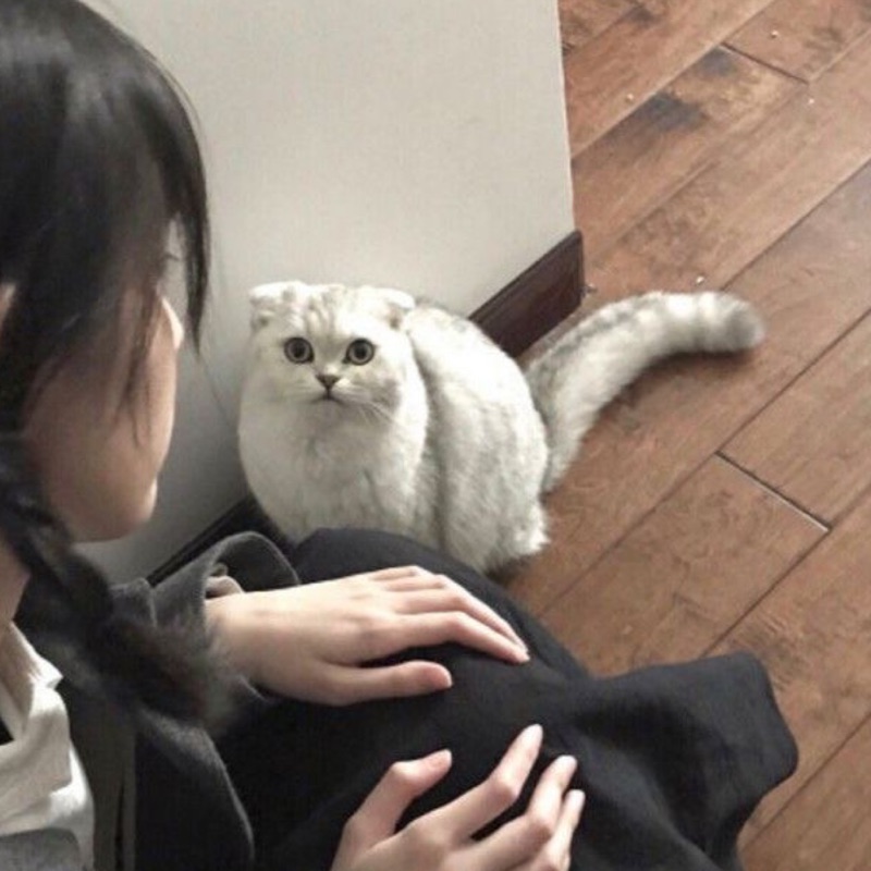 apeachy, 線上商店 | 蝦皮購物