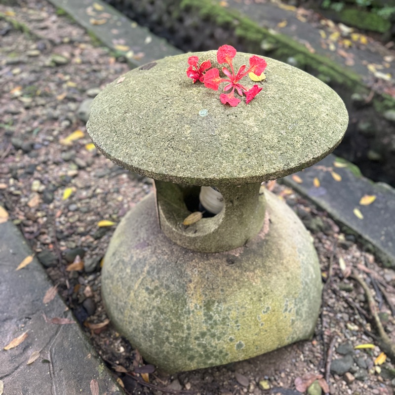 ginin, 線上商店 | 蝦皮購物