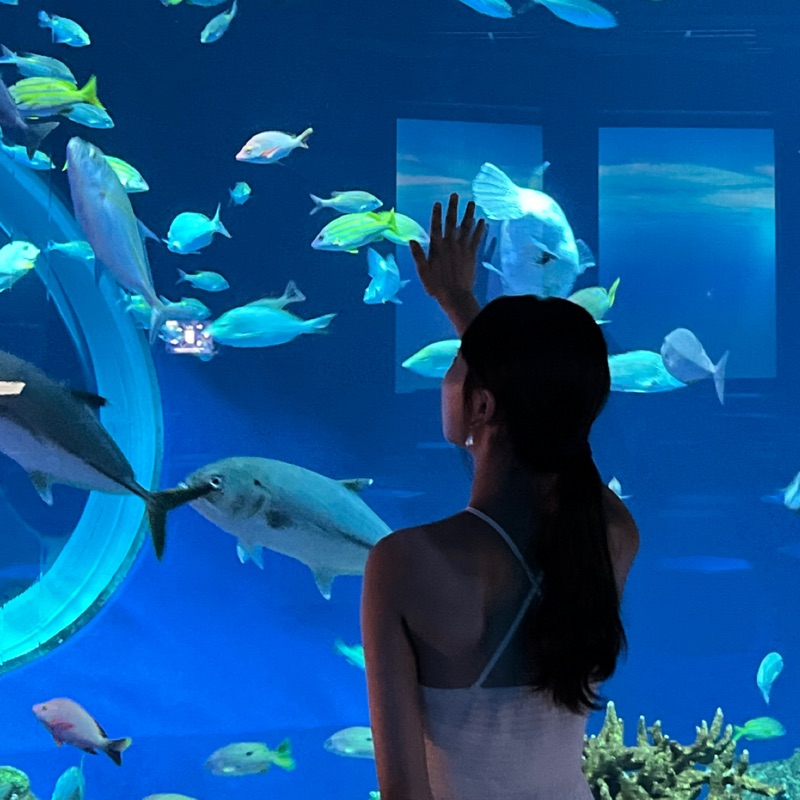 miss.liu_, 線上商店 | 蝦皮購物