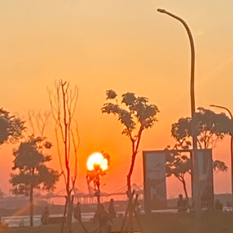 Mina lu, 線上商店 | 蝦皮購物