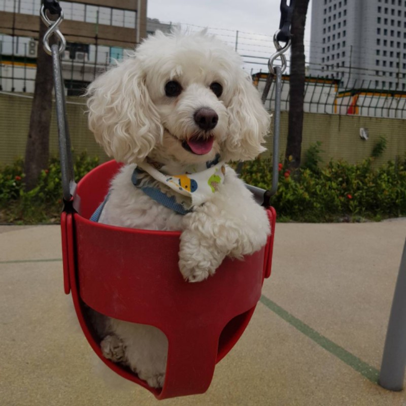 #4CBB17二手出清, 線上商店 | 蝦皮購物