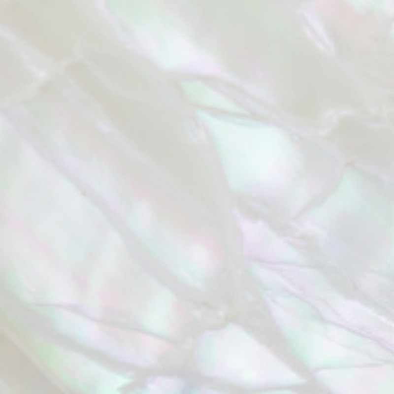 Sinamel, 線上商店 | 蝦皮購物