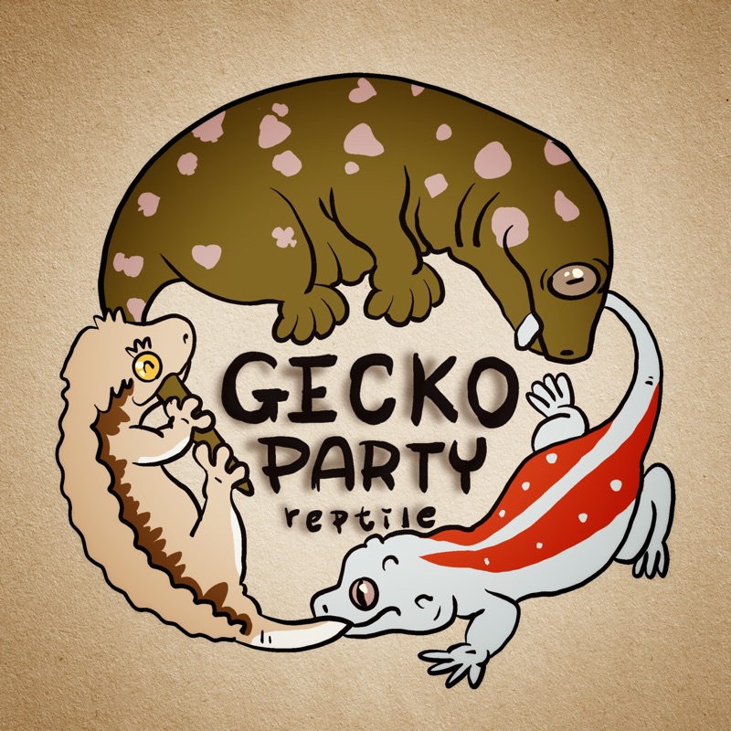 GECKO PARTY, 線上商店 | 蝦皮購物