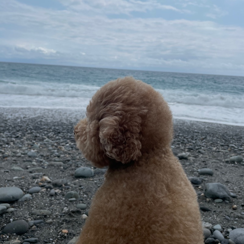 o_xuan, 線上商店 | 蝦皮購物