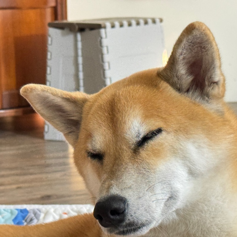 Helen.studio, 線上商店 | 蝦皮購物