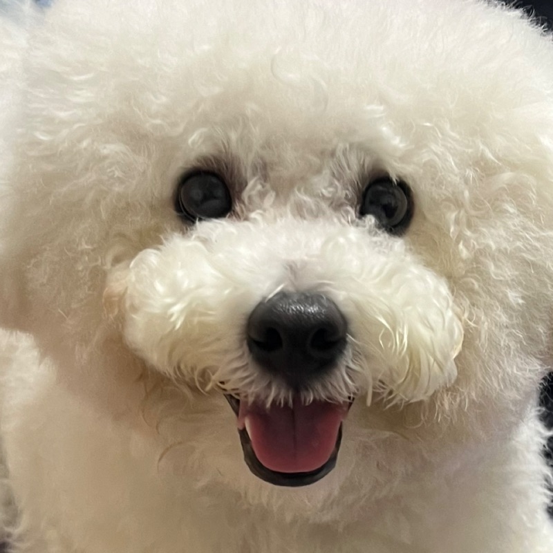 keira_rock, 線上商店 | 蝦皮購物