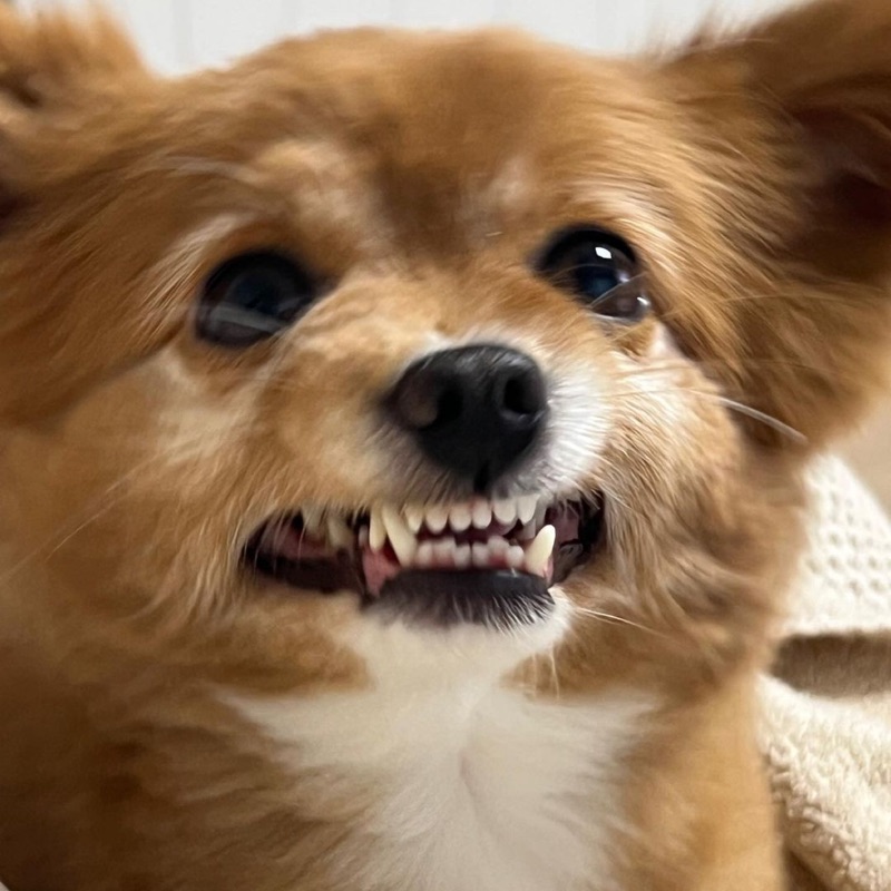 takekami, 線上商店 | 蝦皮購物