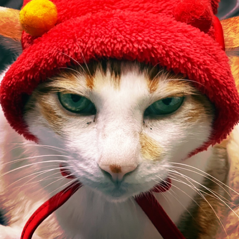 Mumimi, 線上商店 | 蝦皮購物