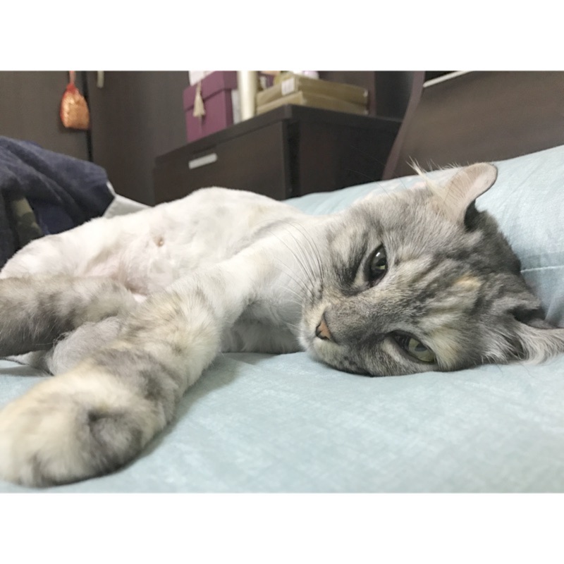 Verna Kuo, 線上商店 | 蝦皮購物