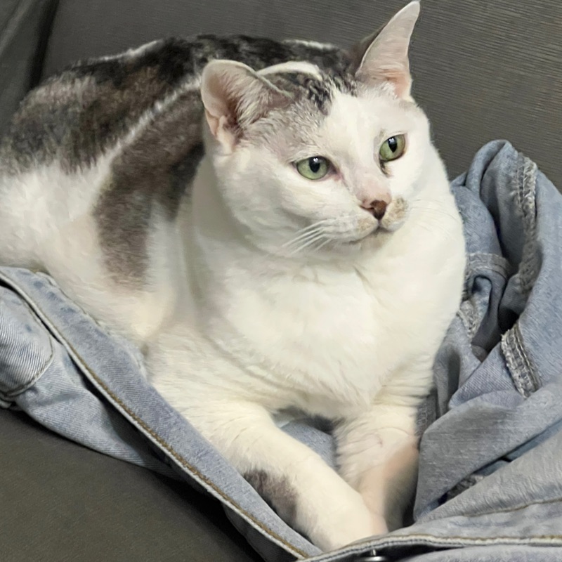 Cheng_Yu_Ling, 線上商店 | 蝦皮購物