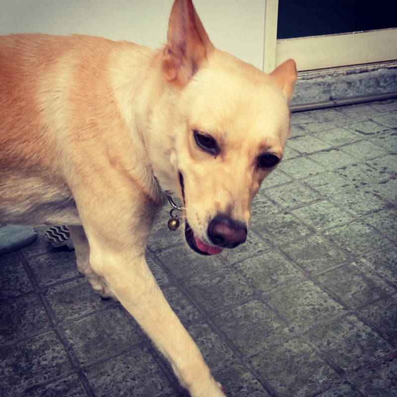 hyperfury, 線上商店 | 蝦皮購物