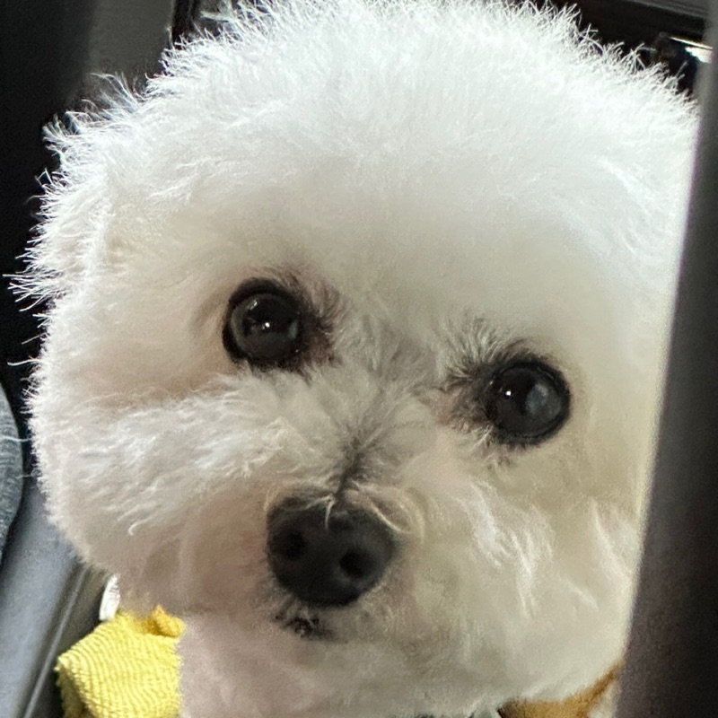 minzing, 線上商店 | 蝦皮購物