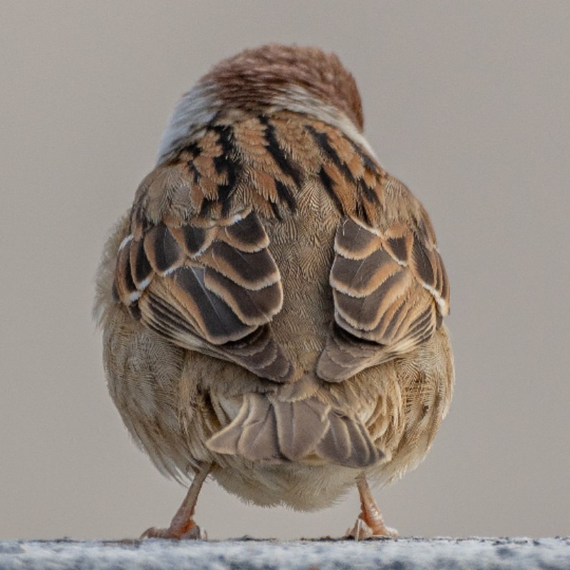 10102, 線上商店 | 蝦皮購物