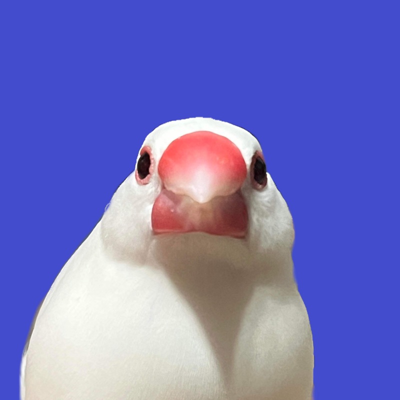 kim_fang_, 線上商店 | 蝦皮購物