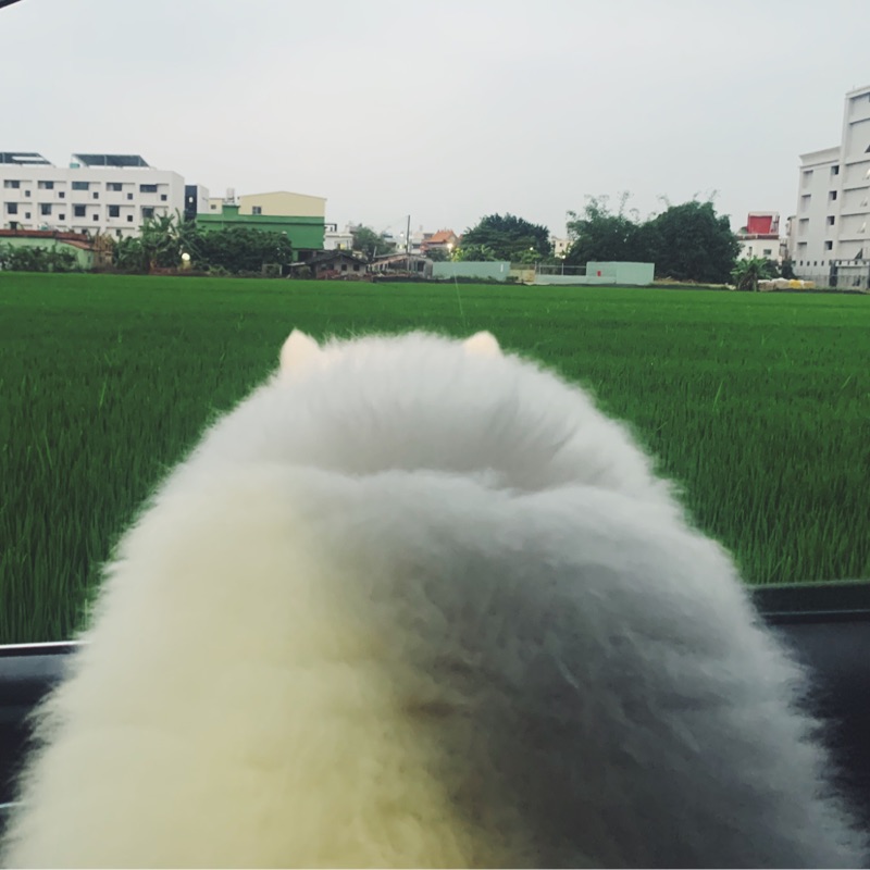 2bro2b, 線上商店 | 蝦皮購物