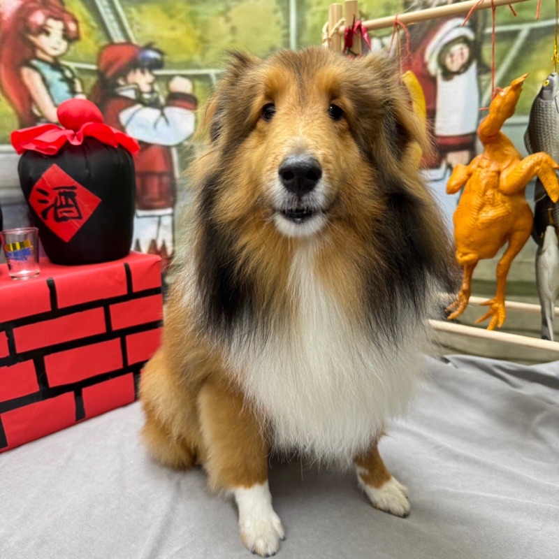 flydar, 線上商店 | 蝦皮購物