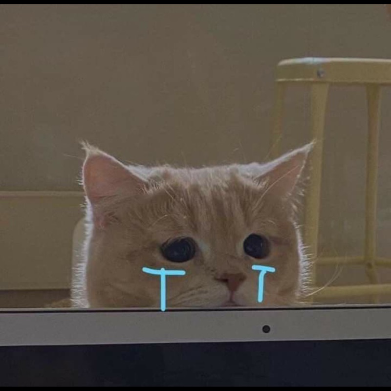 U_niiiiii, 線上商店 | 蝦皮購物