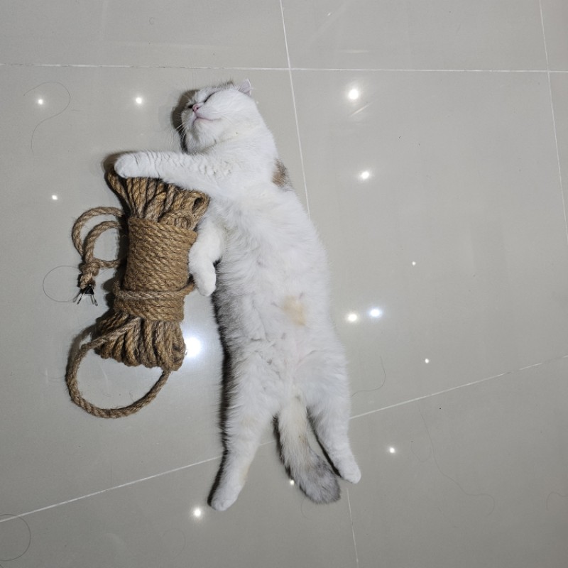 t86t86, 線上商店 | 蝦皮購物