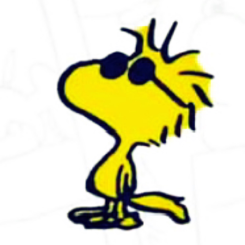 jayser, 線上商店 | 蝦皮購物