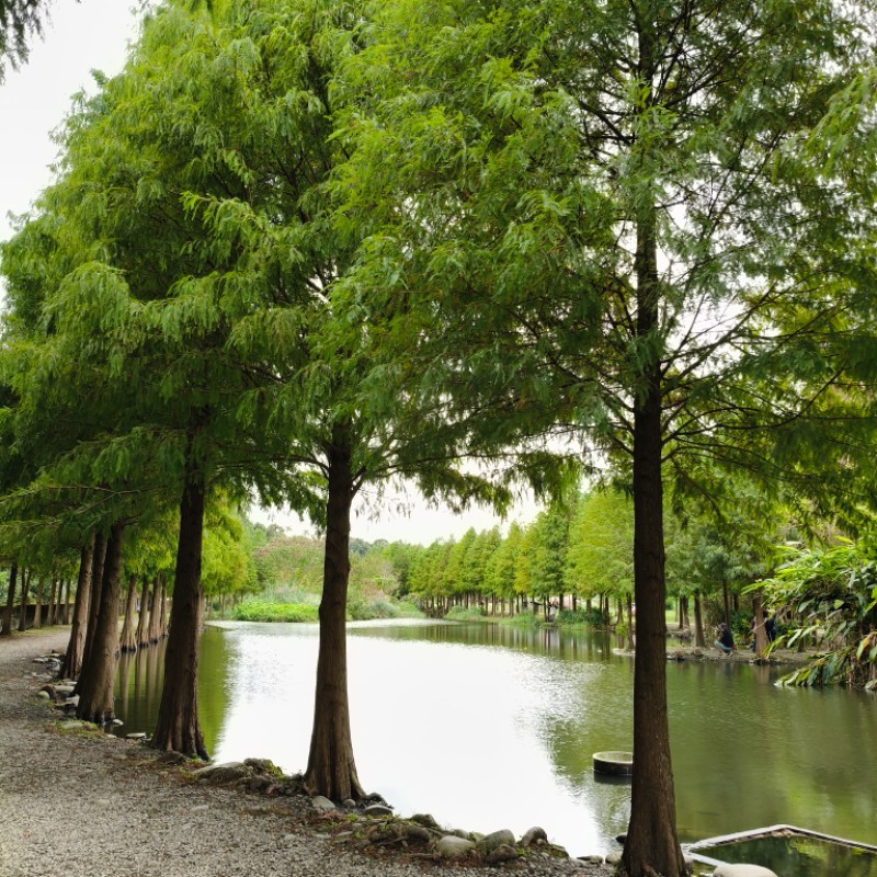 melody_kelly, 線上商店 | 蝦皮購物